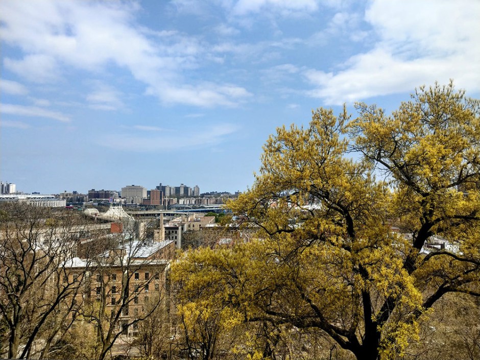 Lockdown in Paris: Day 50 | My (Parttime) Paris Life